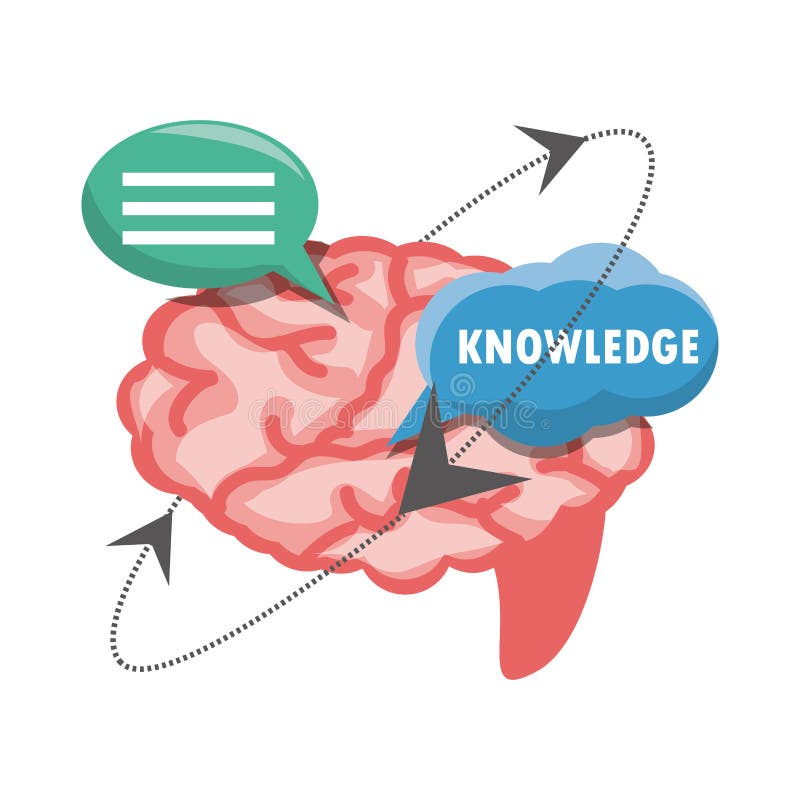 Brain knowledge stock vector. Illustration of isolated - 65459053