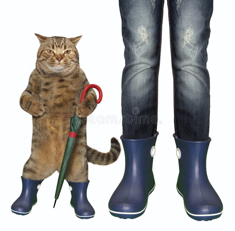 Chat Et Une Fille Dans Des Bottes En Caoutchouc 2 Photo stock - Image ...