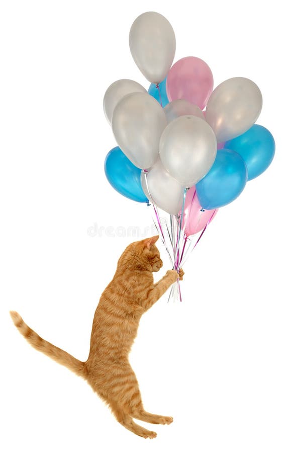 Chat de ballon de vol image stock. Image du anniversaire - 2401721