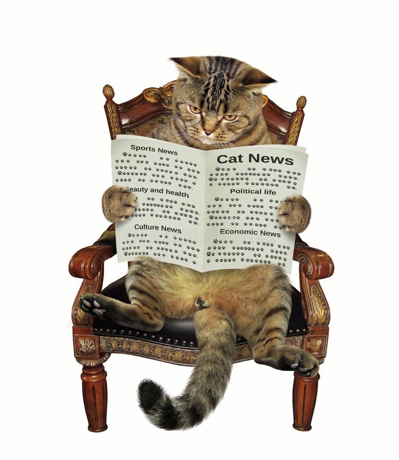 Chat Lisant Un Journal Sur Le Sofa Photo stock - Image du confortable ...