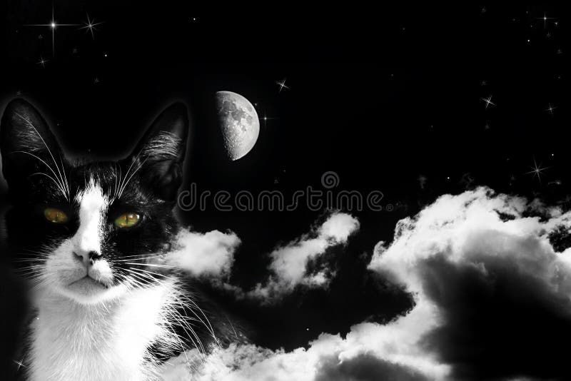 Chat Magique Sur Le Ciel Nuageux Image stock - Image du nuits ...