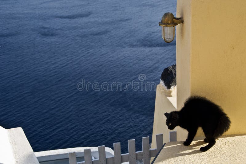 Chat Noir En Position Défensive Sur Un Mur à Santorin Image stock ...