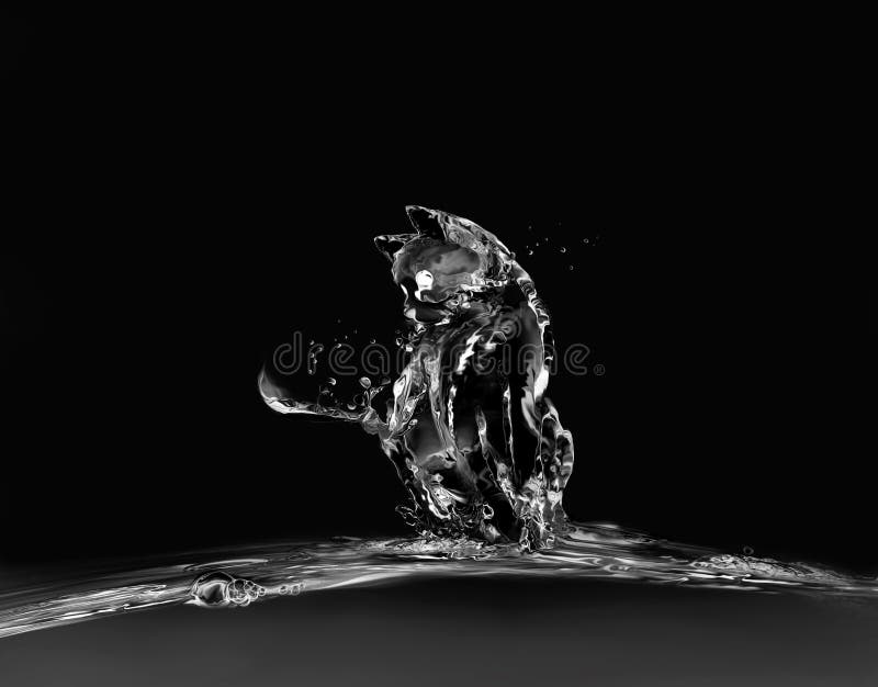 Cheval noir de l'eau photo stock. Image du action, nature - 10726212