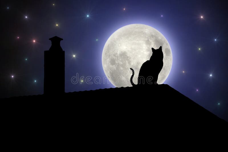 Chat sur le toit la nuit illustration stock. Illustration du chat ...