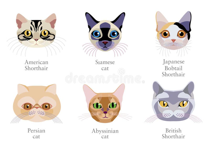 Chats illustration de vecteur. Illustration du visage - 90048083