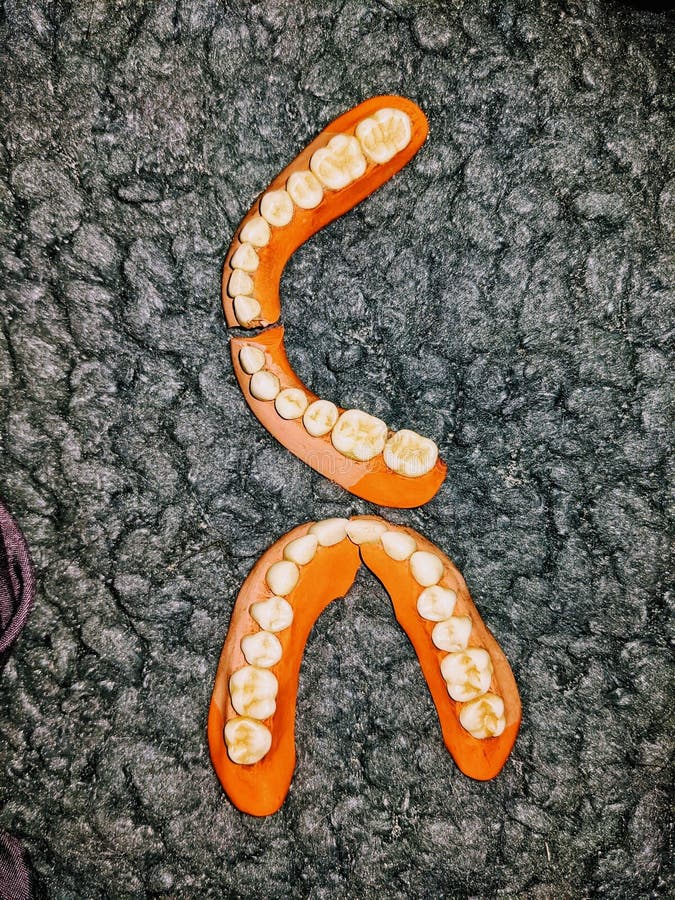 Chatterbox stock image. Image of dentures, odfities - 258999099