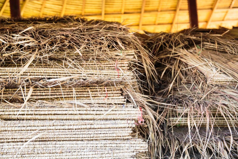 Chaume image stock. Image du hutte, herbe, rayé, traditionnel - 57091385