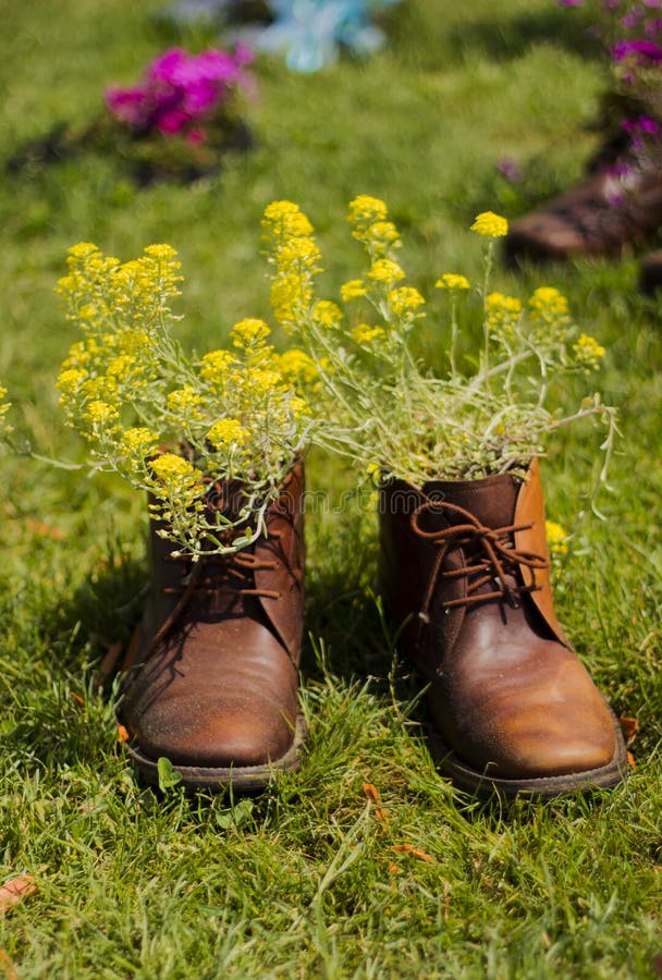 Chaussures avec des fleurs photo stock. Image du fleur - 53818244