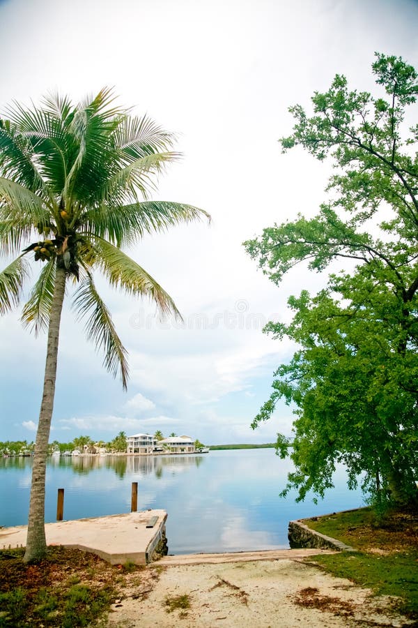Chaves Do Beira-rio - Florida Imagem de Stock - Imagem de costa, palma ...