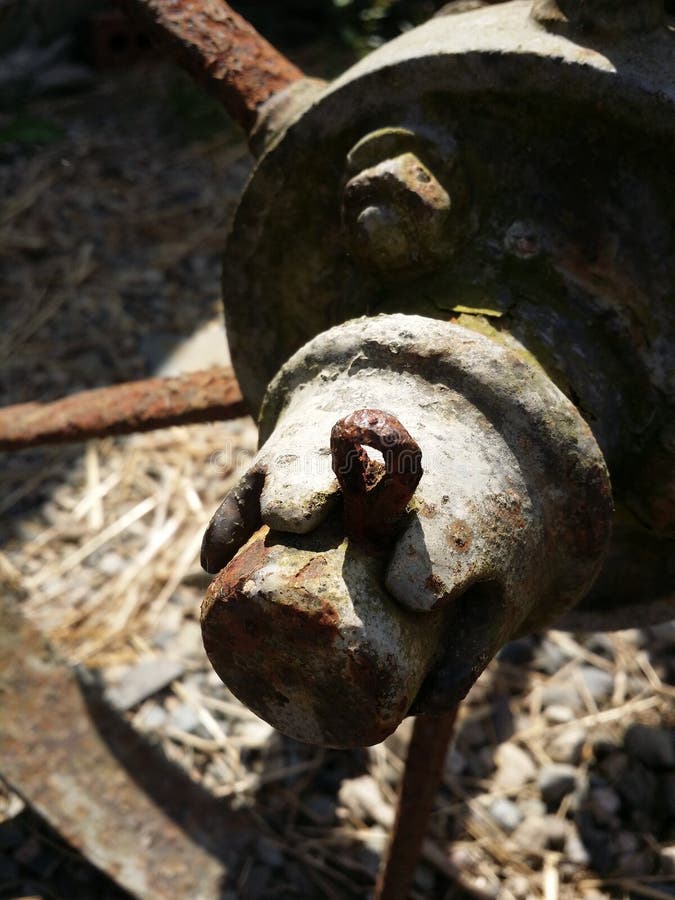 Chaveta imagen de archivo. Imagen de viejo, granja, instrumento - 122570041