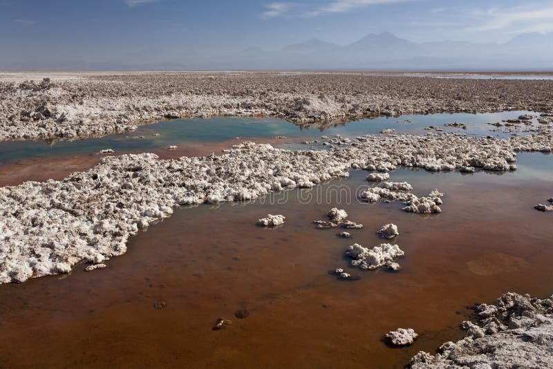 Chaxa Lagoon - Atacama Desert - Chile Stock Photo - Image of chile ...