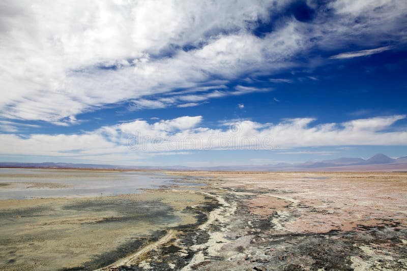 Chaxa Lagoon in the Salar De Atacama, Chile Stock Image - Image of ...