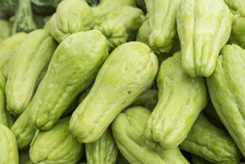 Chayote stock photo. Image of vegetable, market, food - 36008634