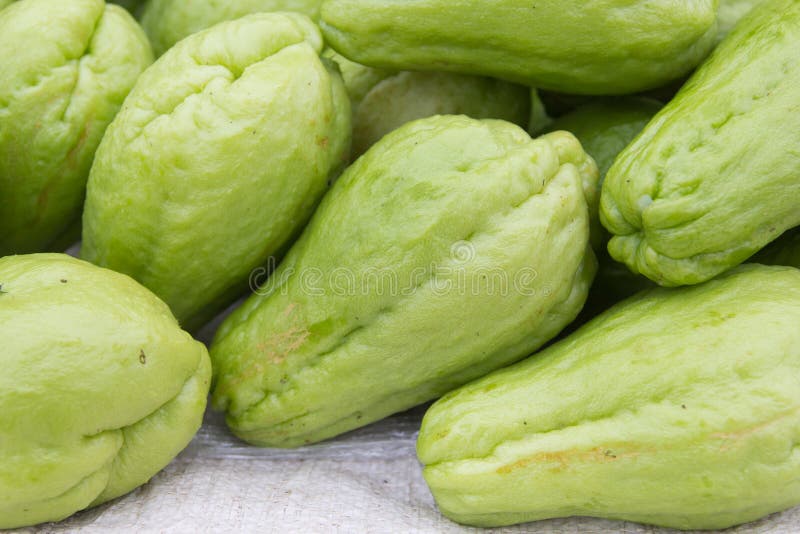 Chayote stock image. Image of pile, tropical, freshness - 44064255