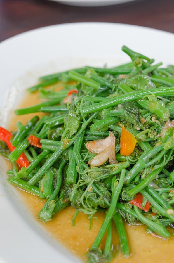 Chayote stock photo. Image of chinese, food, garlic, green - 43787326