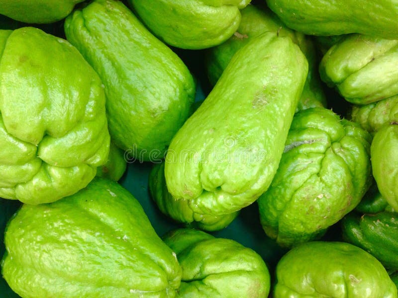 Chayote stock photo. Image of green, vegetarian, market - 57703862