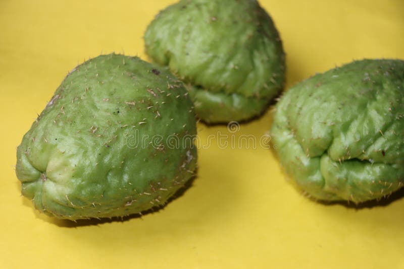 Chayote Fruits or Sechium Edule on Yellow Background Stock Image ...