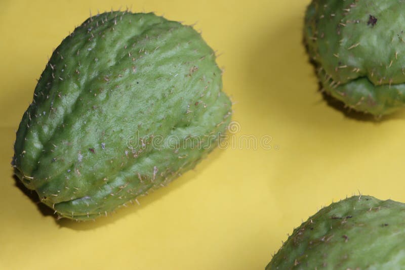 Chayote Fruits or Sechium Edule on Yellow Background Stock Photo ...