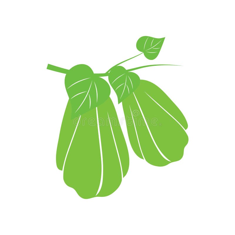 Chayote Logo Template Vector Stock Vector - Illustration of growth ...