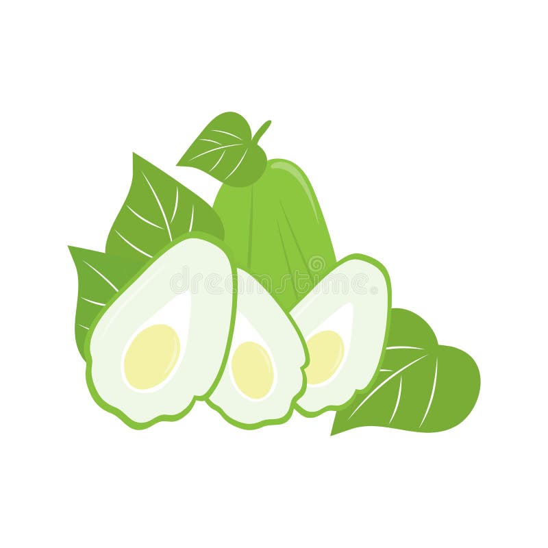 Chayote Logo Stock Illustrations – 13 Chayote Logo Stock Illustrations ...