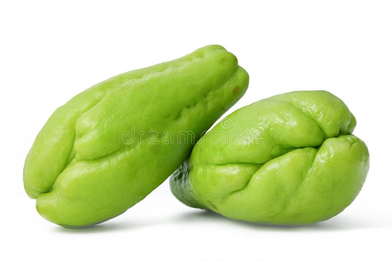 929 Sayote Stock Photos - Free & Royalty-Free Stock Photos from Dreamstime