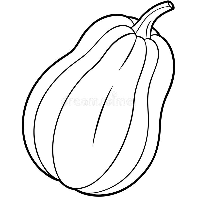 A Chayote is Shown in a Black and White Drawing Stock Illustration ...