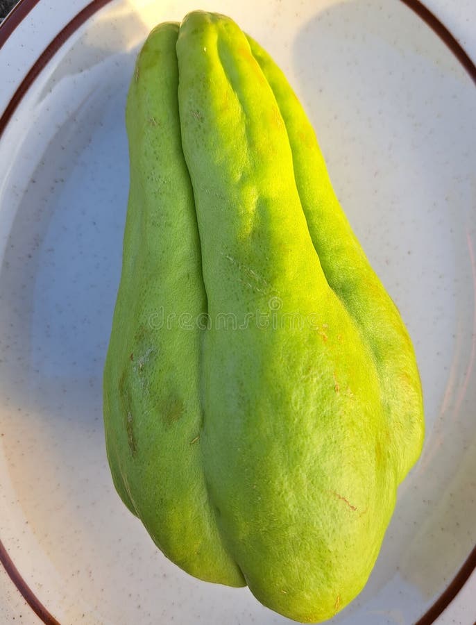 Chayote vegetables stock photo. Image of leaf, cuisine - 370696666