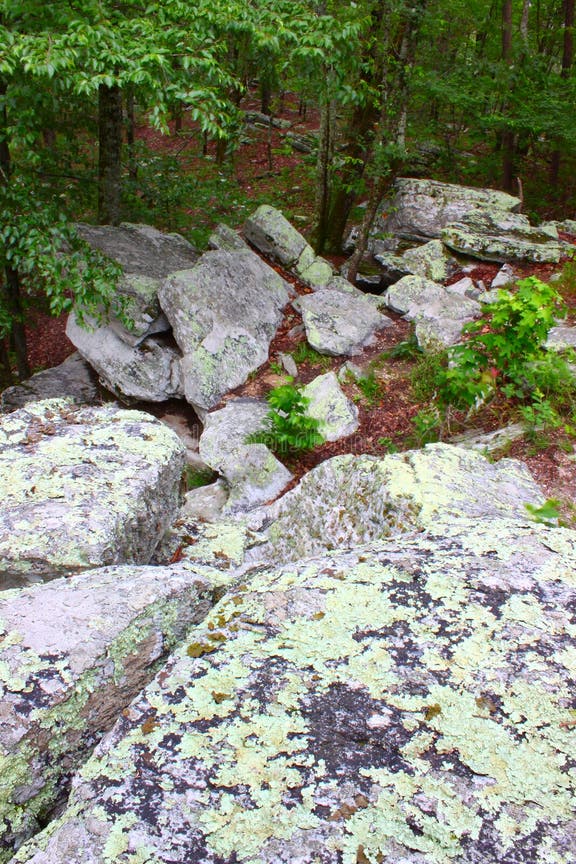 Cheaha State Park - Alabama Stock Image - Image of wild, forest: 16735985