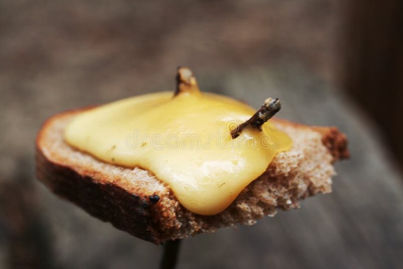 Chease and broad stock photo. Image of yellow, fantasy - 54164200