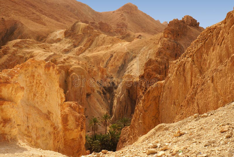 The Chebika Oasis in Tunisia Stock Image - Image of golden, message ...