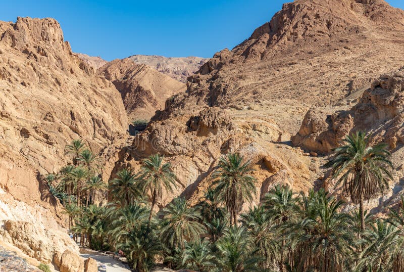 Chebika Oasis in Tunisia stock photo. Image of desert - 385441398