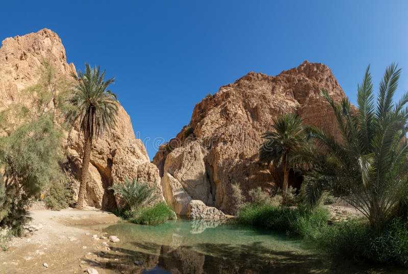 Chebika Oasis in Tunisia stock photo. Image of rocky - 385441780