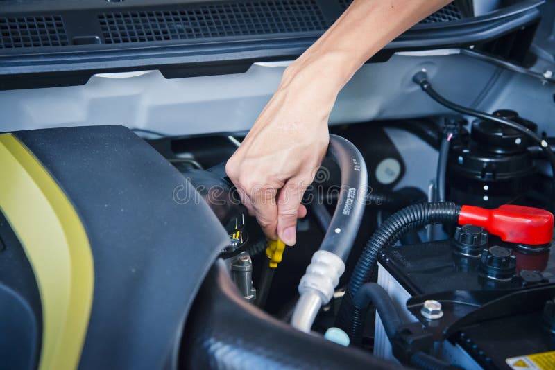 Check the car engine. stock image. Image of refilling - 78457697
