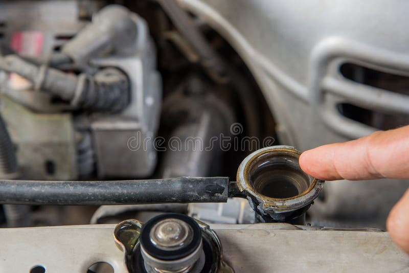 Add Water Car Radiator,Check Water Car Radiator. Stock Photo - Image of ...