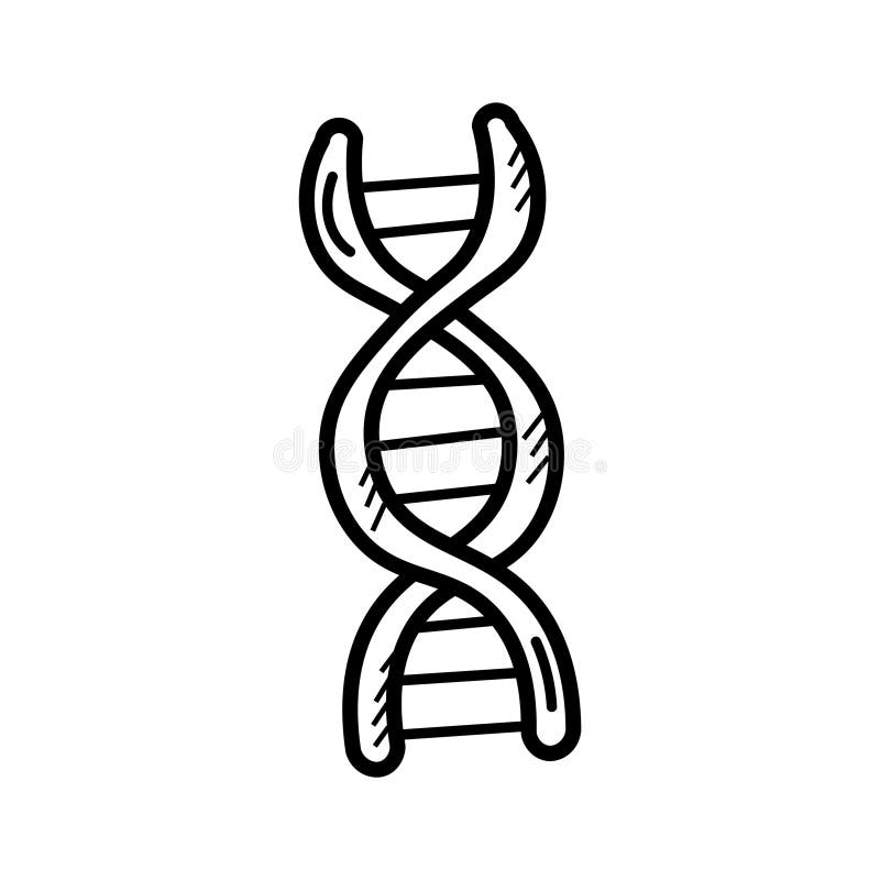 Check this Carefully Crafted Doodle Icon of DNA Stock Illustration - Illustration of acid ...