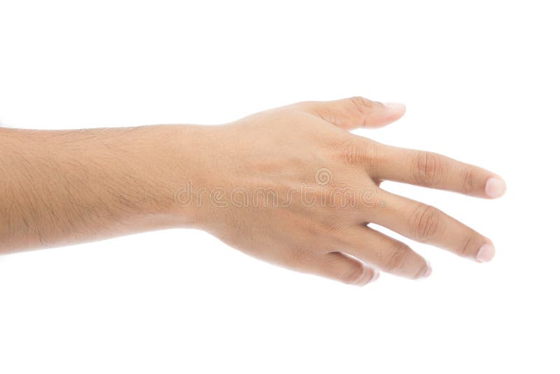 Check Hand stock photo. Image of give, human, check, conceptual - 81086530