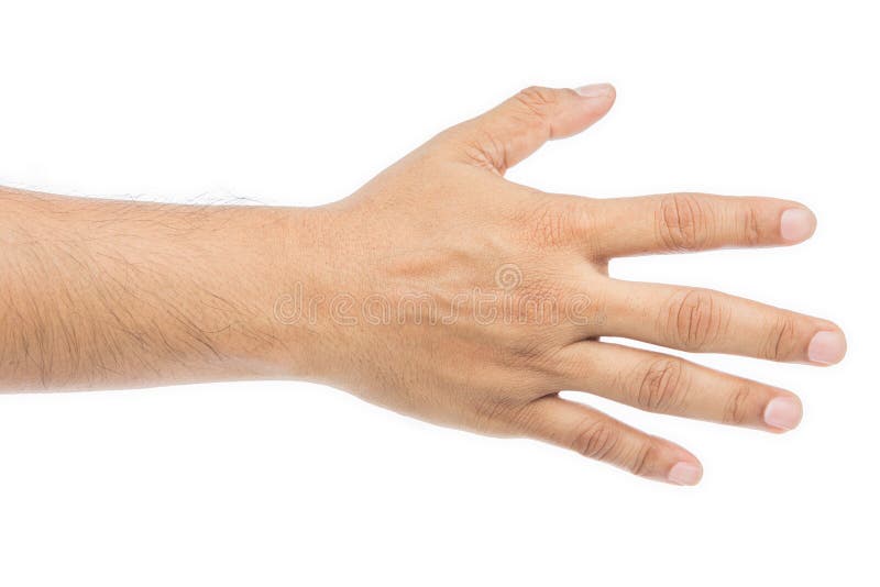 Check Hand stock photo. Image of dermatology, closeup - 81701580