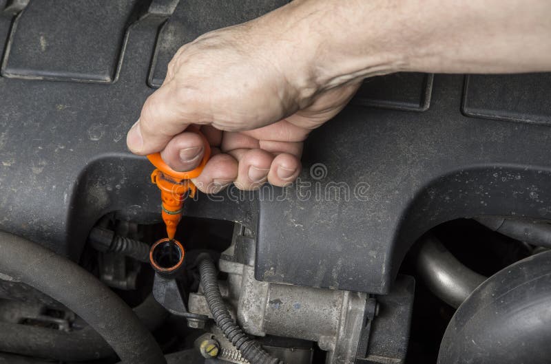 Check Oil Level at Dipstick Mark in Car Engine. Stock Image - Image of ...