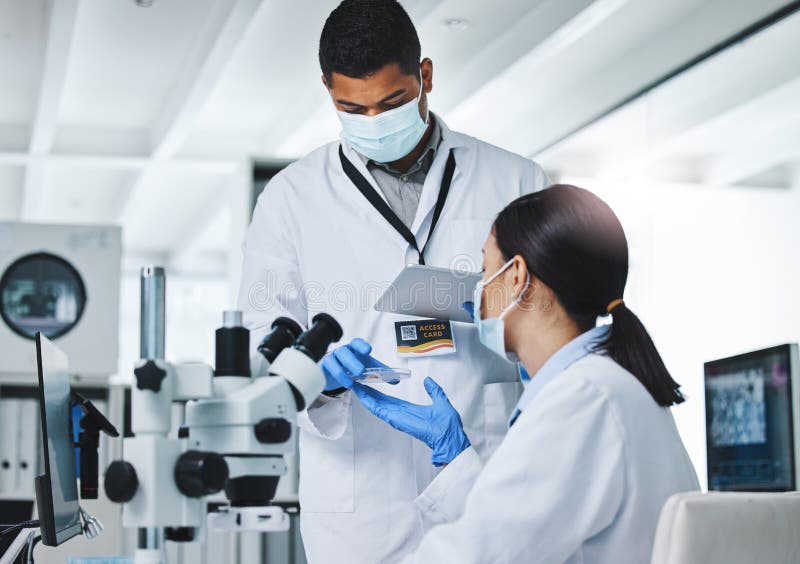 Check this One. Shot of Two Young Researchers Using a Digital Tablet in ...