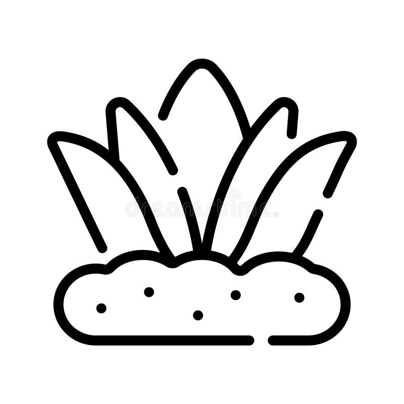 Check Out this Linear Icon of Agave Plant Stock Vector - Illustration ...