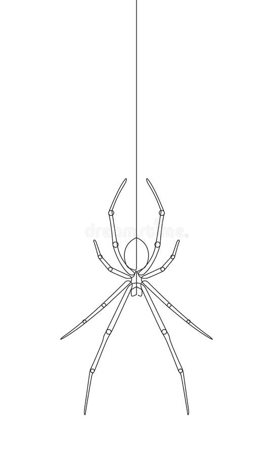Continuous Line Spider Stock Illustrations – 105 Continuous Line Spider ...