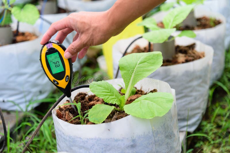 Use Soil PH Meter for Check the PH Value Stock Photo - Image of field ...