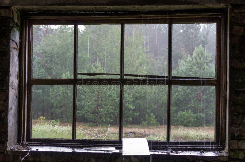 Checked Window Frame. View of the Forest through a Window without Glass ...