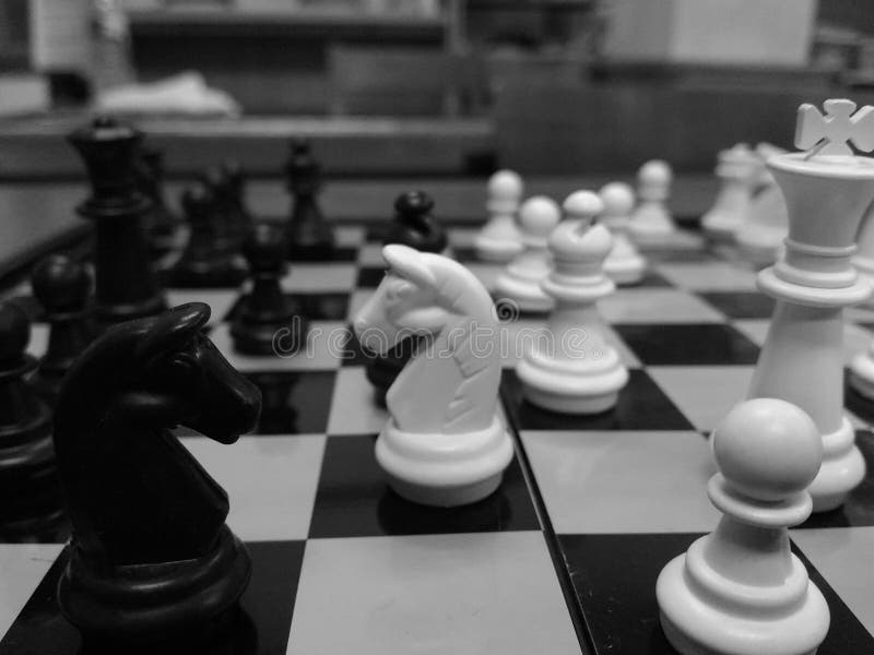 Acheckerboardamerican Stock Photos - Free & Royalty-Free Stock Photos ...