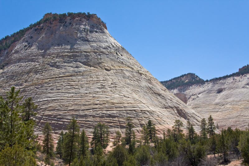 Checkerboard Mesa in Zion Canyon Stock Photo - Image of rock, forest ...