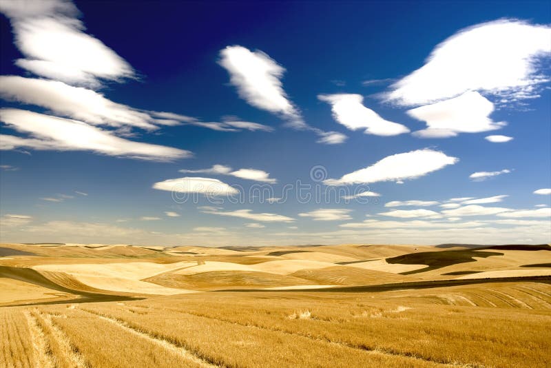 Checkered Landscape stock image. Image of environmental - 5973815