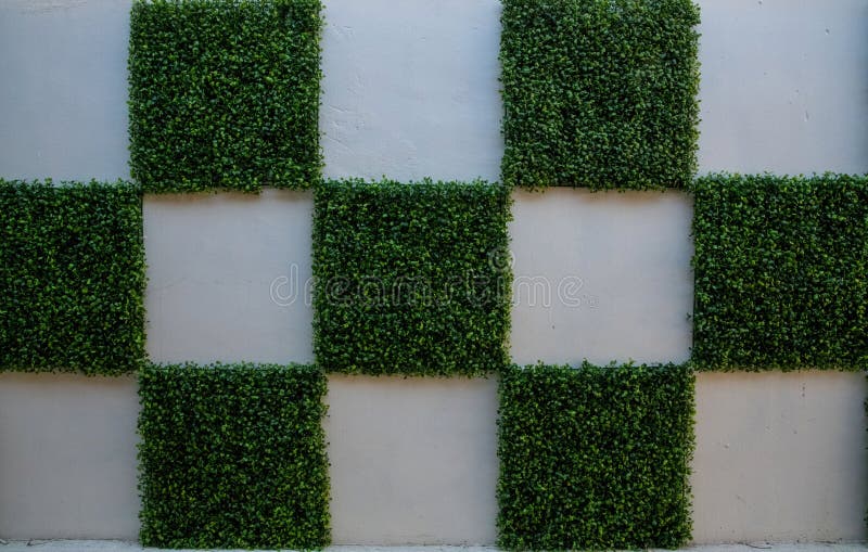 Checkered Outdoor Wall Decoration Stock Photo - Image of people, grass ...