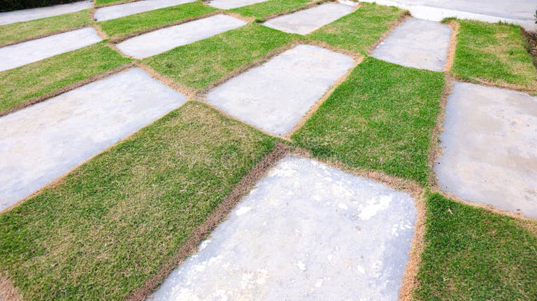 Checkered Pattern Grass Playground Field Yard Stock Photo - Image of ...