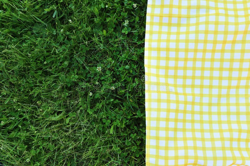 Checkered Picnic Tablecloth on Fresh Green Grass, Top View. Space for ...