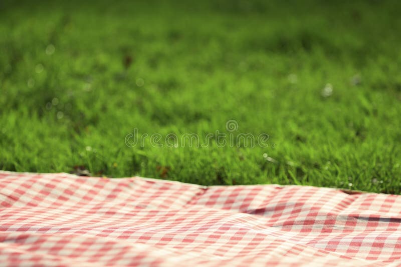 Checkered Picnic Tablecloth on Green Grass, Closeup. Space for Text ...